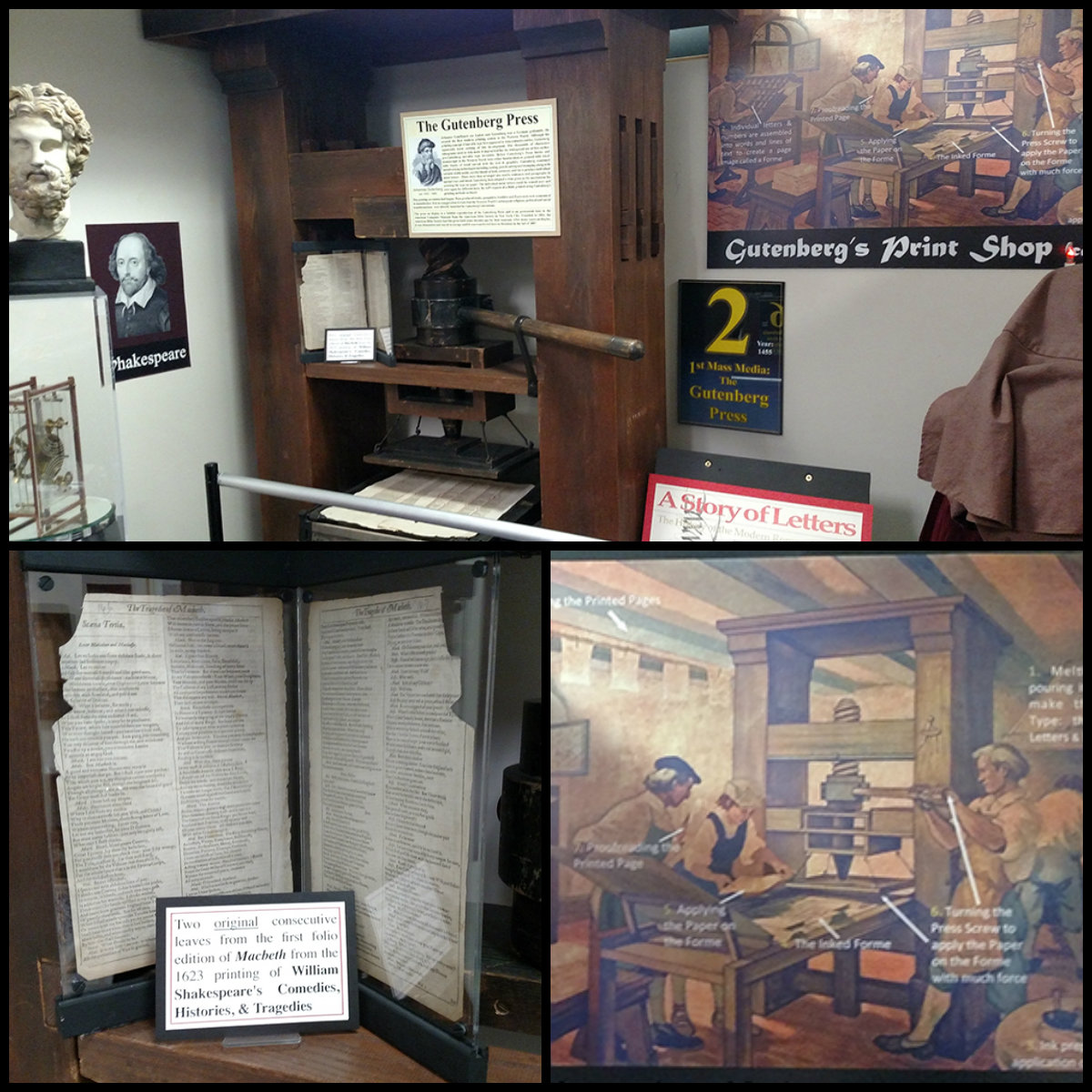 The Evolution of Media - Roads to Everywhere